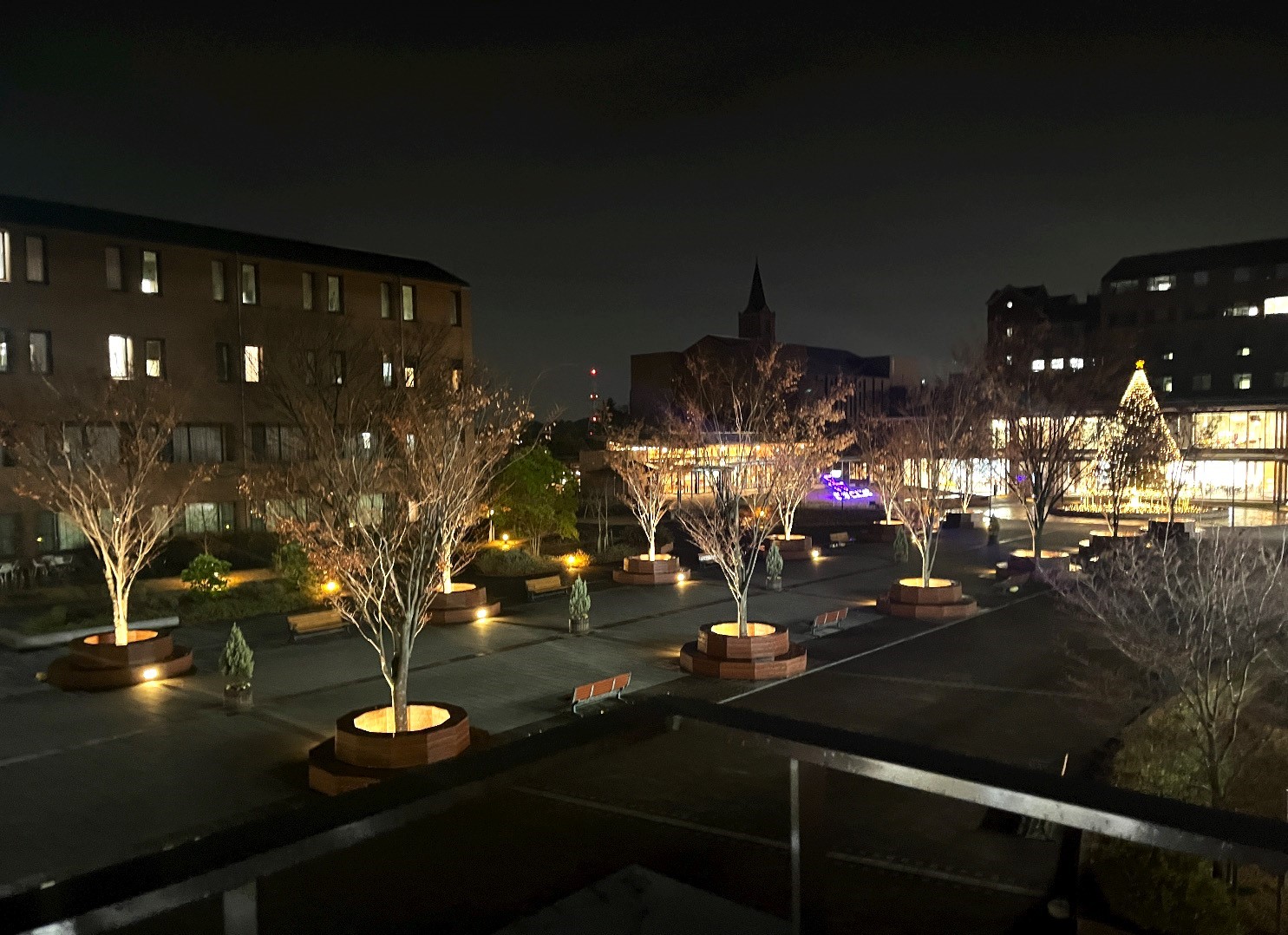 休日のキャンパスツアーの魅力 :: 同志社女子大学